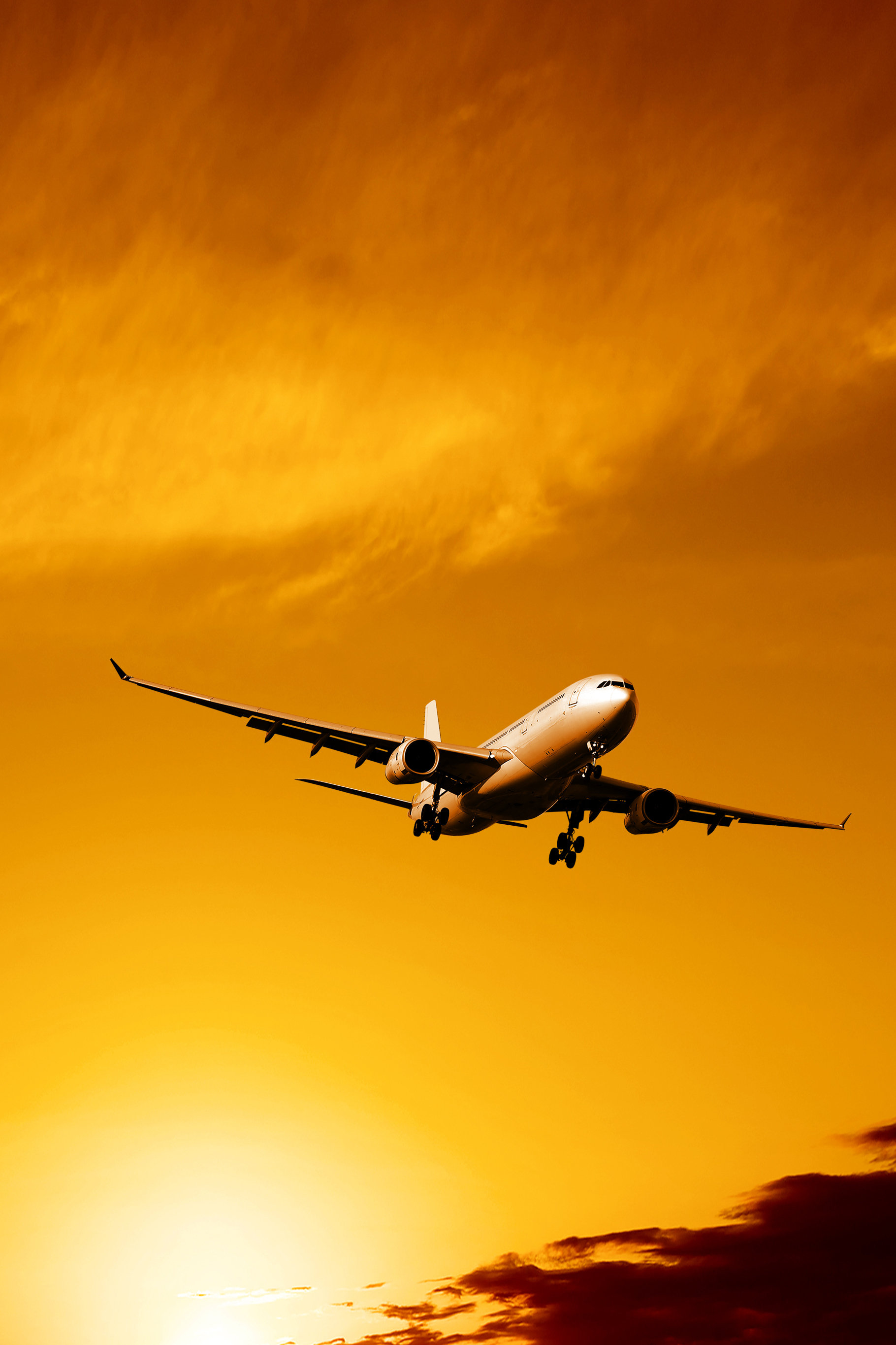 Ebern Designs Jet Airplane Landing at Sunset by Sharply_Done | Wayfair