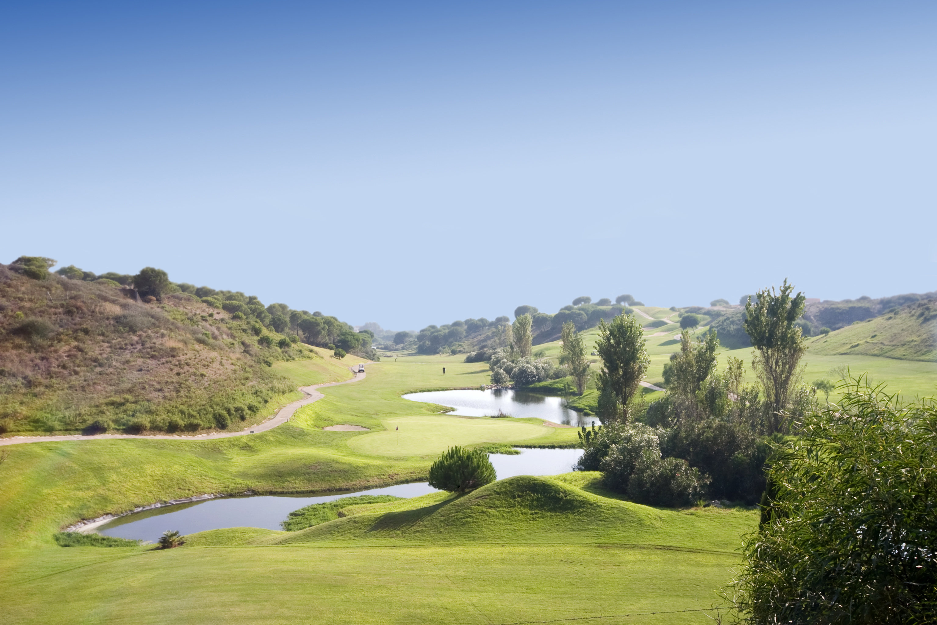Latitude Run® Spanish Golf Course by Caziopeia | Wayfair