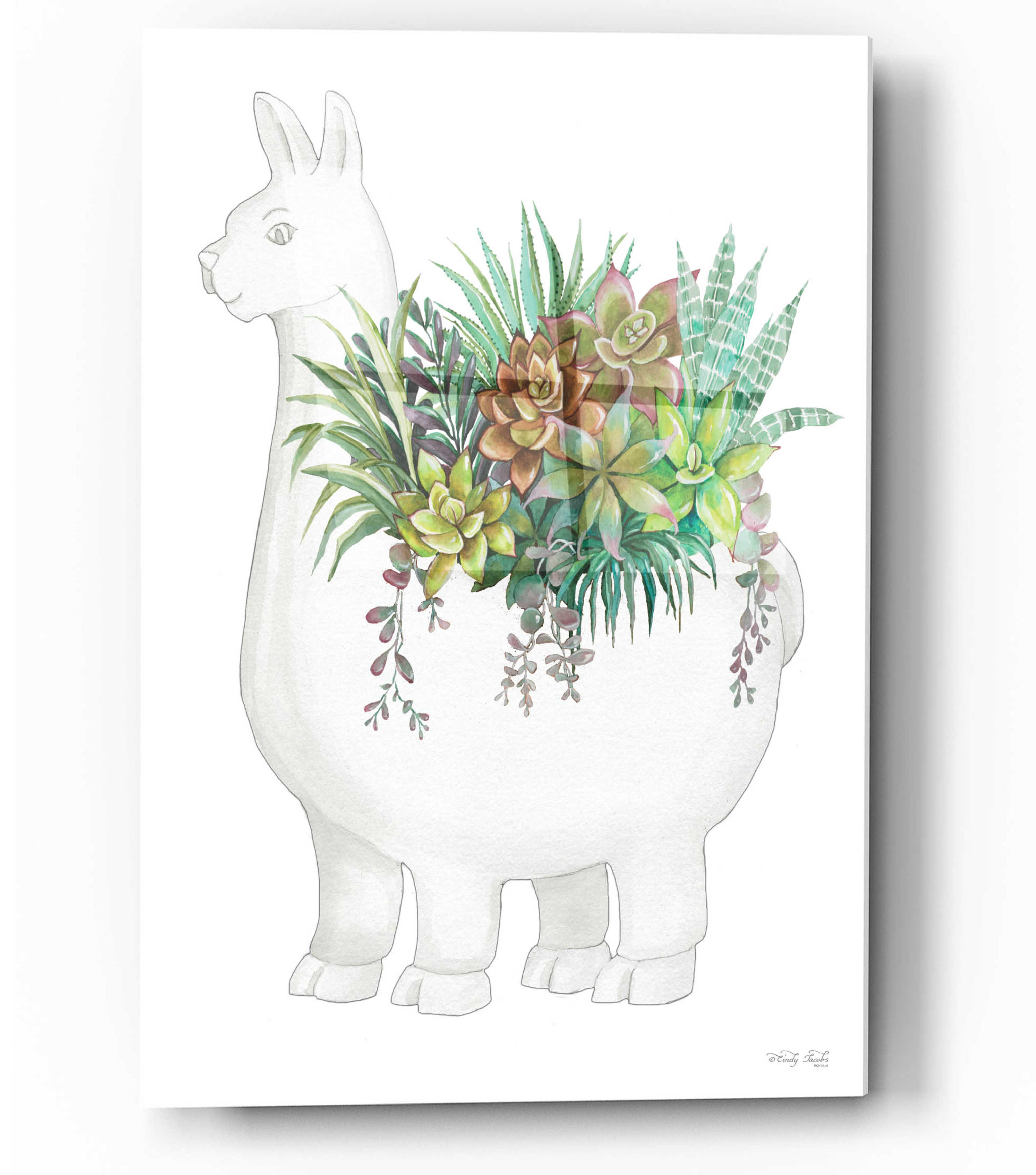 Gracie Oaks ''Proud Llama Pot II'' By Cindy Jacobs, Acrylic Glass Wall ...