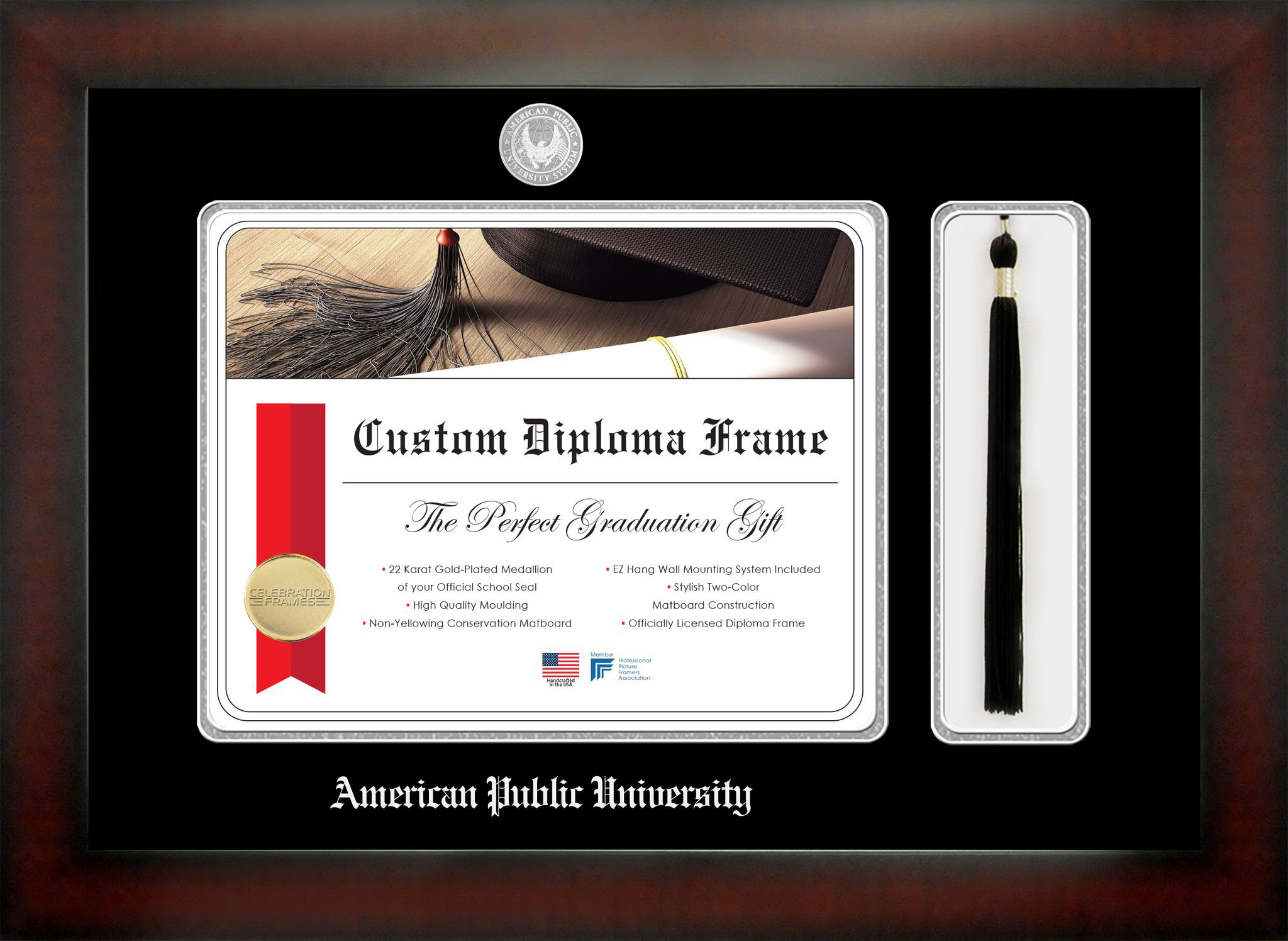 Campus Images American Public University Picture Frame | Wayfair
