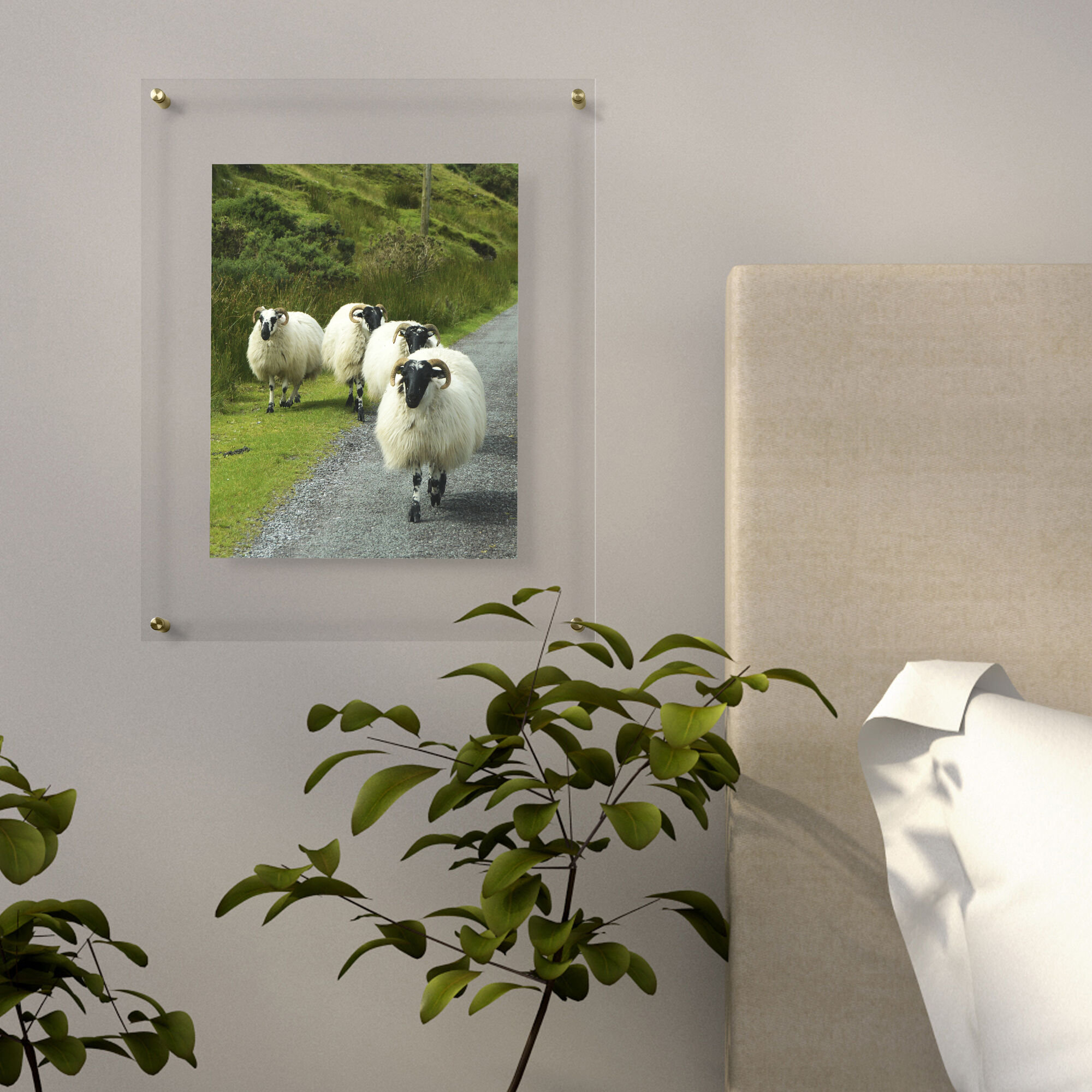 Mikasa Floating Acrylic Frame for 11x14 Inch Photo with Gold Hardware ...