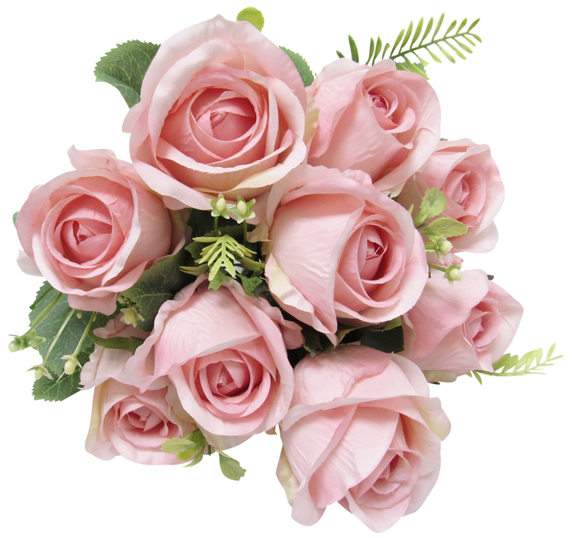 House of Hampton Doux rosé pastel et Commentaires - Wayfair Canada