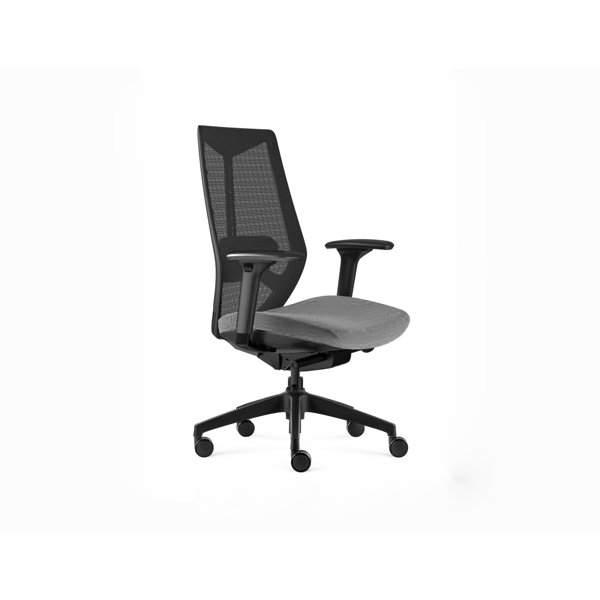 Friant Ignite Ergonomic Mesh Task Chair with Lumbar Support, Pneumatic ...