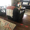 Bungalow Rose Trinette Oriental Green/Beige Area Rug & Reviews | Wayfair