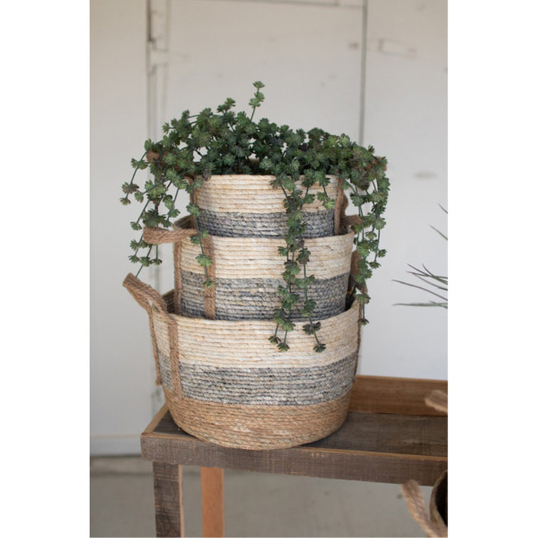 3 Piece Rush Basket Set | Birch Lane