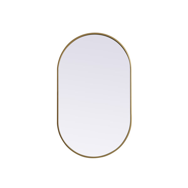 Sabine Metal Pill Wall Mirror & Reviews | Joss & Main