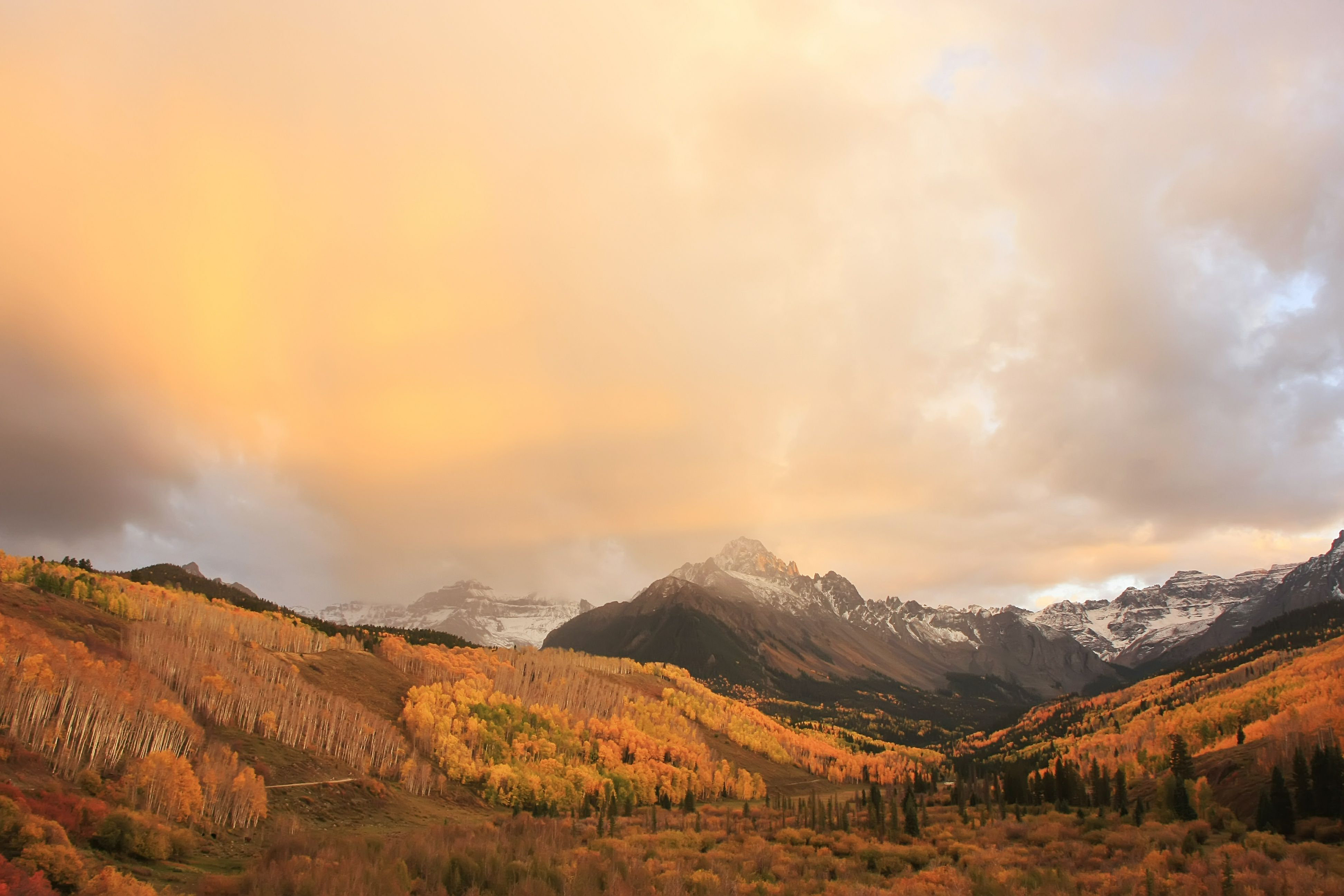 Millwood Pines Tolya Mount Sneffels, Colorado by - Wrapped Canvas ...