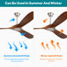Home Decor 59.96" Ceiling Fan with Remote Control | Wayfair