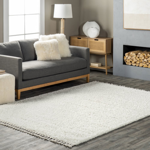 Shag Area Rugs You'll Love - Wayfair Canada