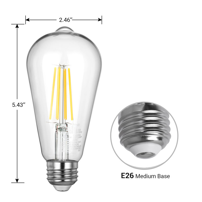 EDISHINE 60 Watt Equivalent ST64 E26/Medium (Standard) LED Bulb ...