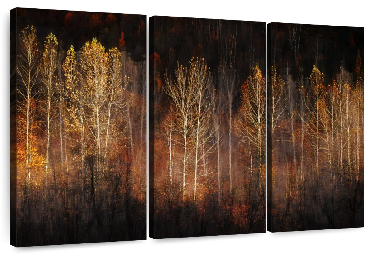Millwood Pines Alvord Autumn Soul | Wayfair