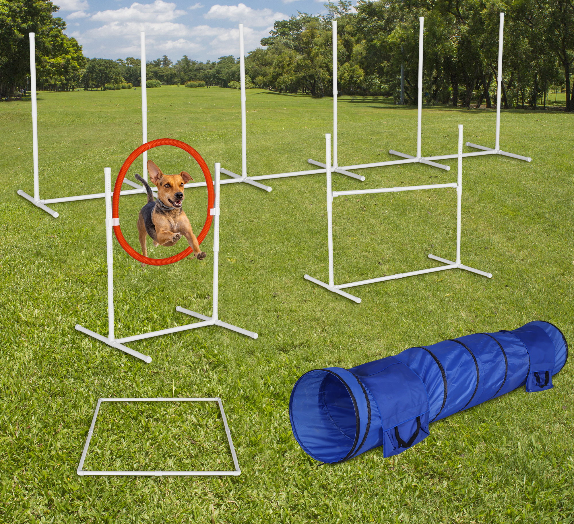 AOOLIVE Dog Training Equipment Agility Set with Carrying Case - Wayfair ...