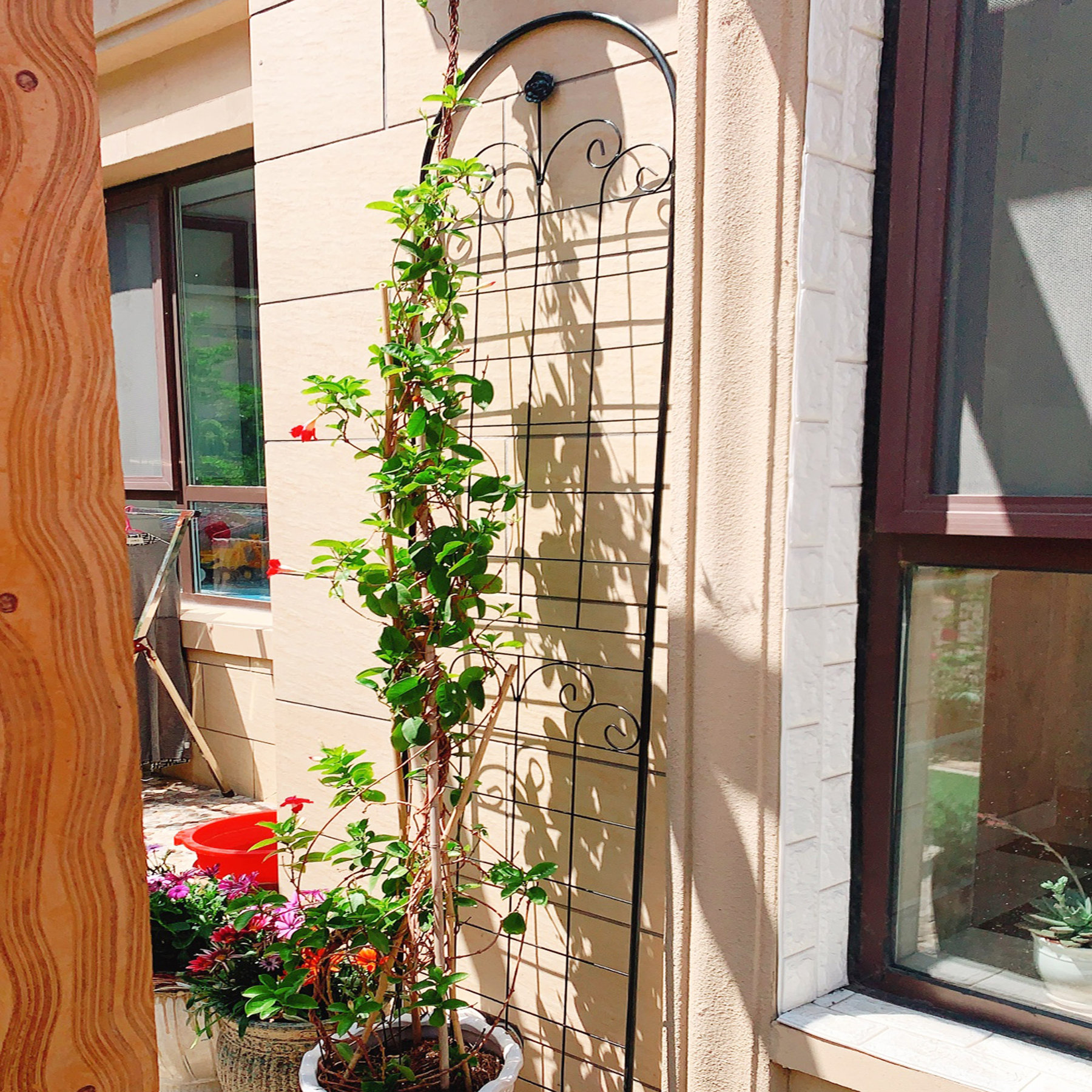 Winston Porter Metal Garden Trellis Rustproof Trellis | Wayfair