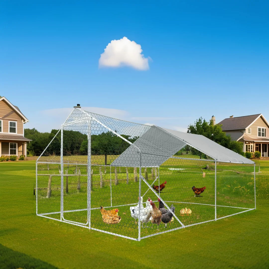 Ophelia & Co. Walk-In Chicken Coop Poultry Cage Large Metal Hen Run ...