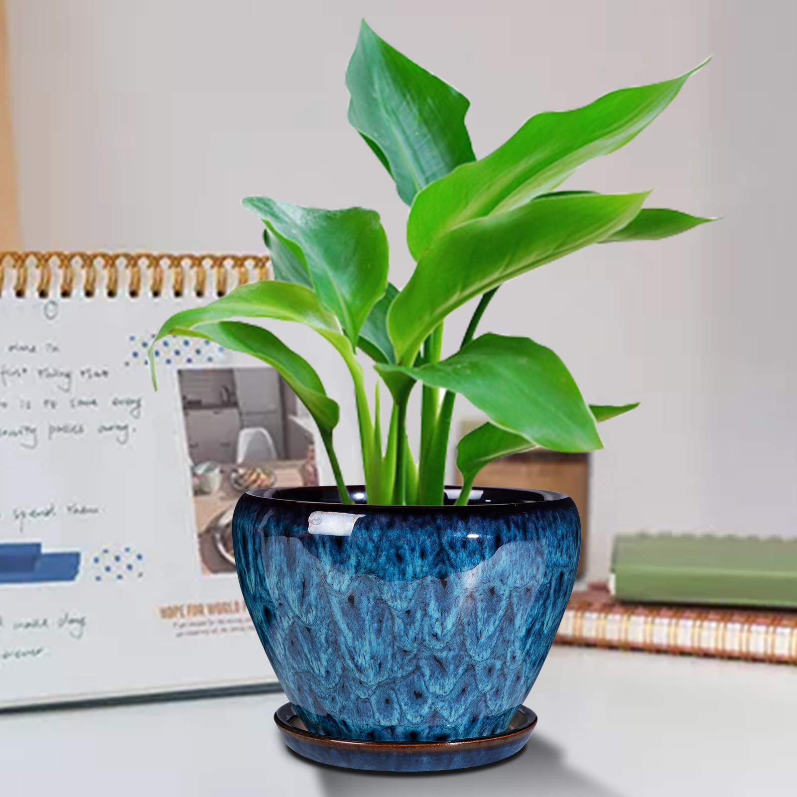 Latitude Run® Pot à fleurs rond moderne avec trou de drainage et pot à ...