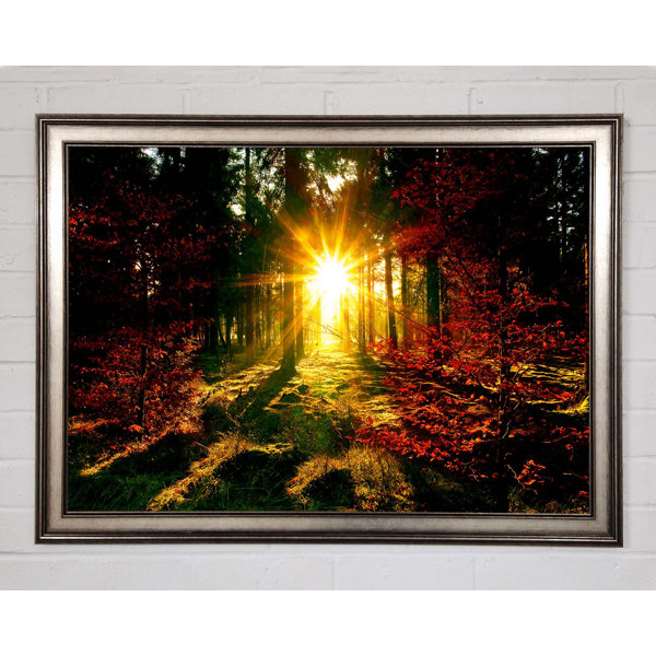 Union Rustic The Beaming Forest Sun - Single Picture Frame Art Prints ...