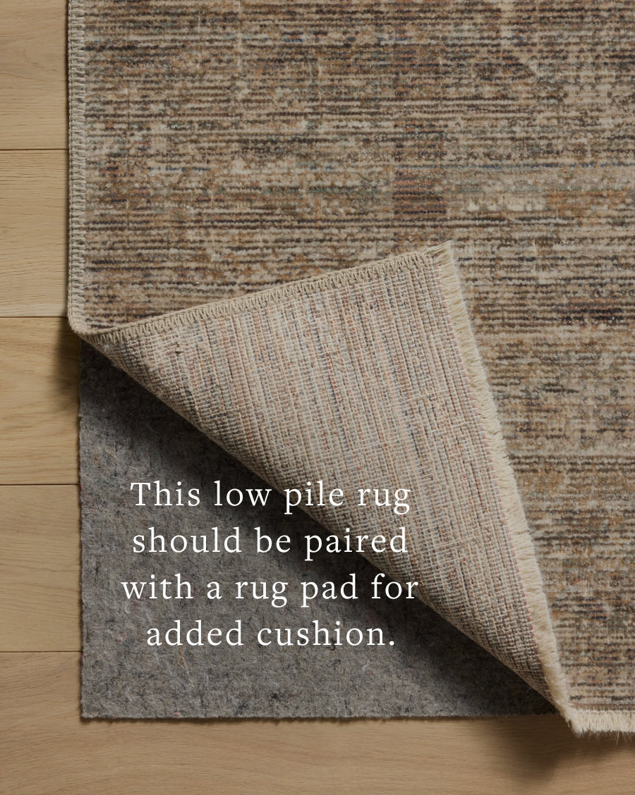 Amber Lewis x Loloi Molly Tobacco / Sage Area Rug & Reviews | Wayfair