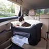 Snoozer Pet Products Snoozer Lookout II Dog Car Seat Indoor/Outdoor ...