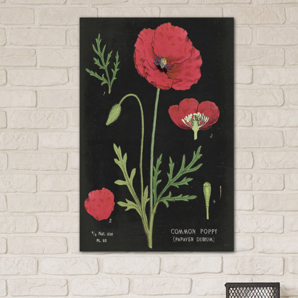 East Urban Home " Poppy Chart " by Sue Schlabach - Wayfair Canada