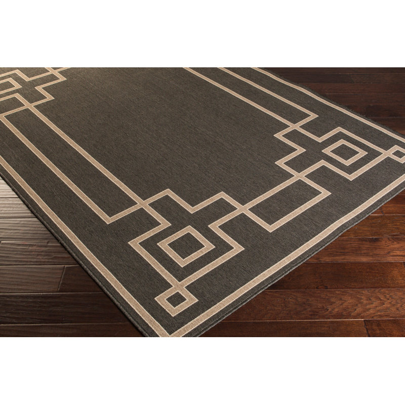 Sol 72 Outdoor™ Amherst Black Indoor/Outdoor Rug & Reviews | Wayfair