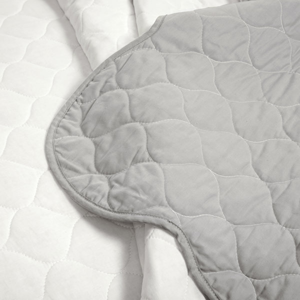 Birch Lane™ January Cotton Quilt Set | Wayfair