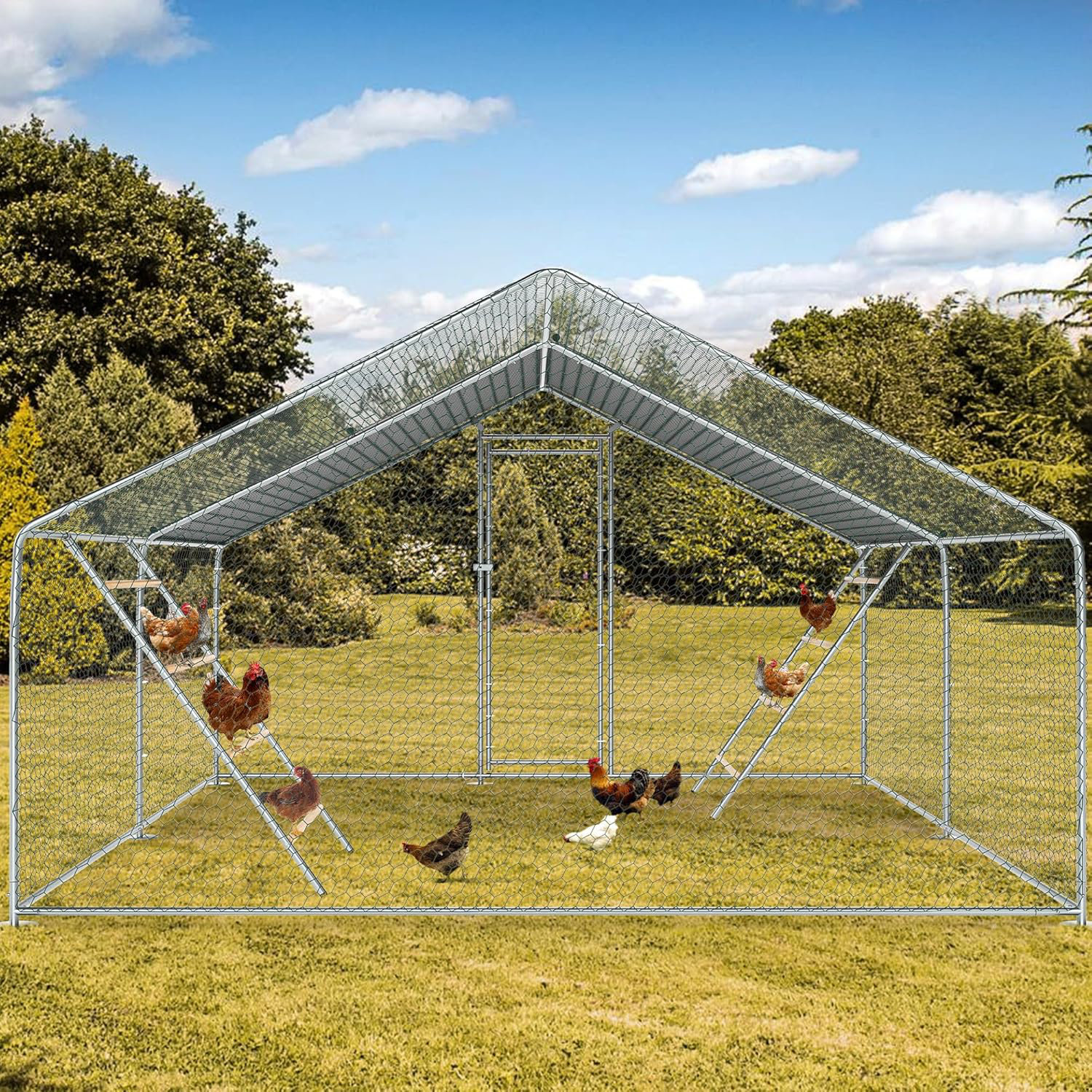 Tucker Murphy Pet™ Chicken Coop Roosting Perch Essentials:Perfect for ...