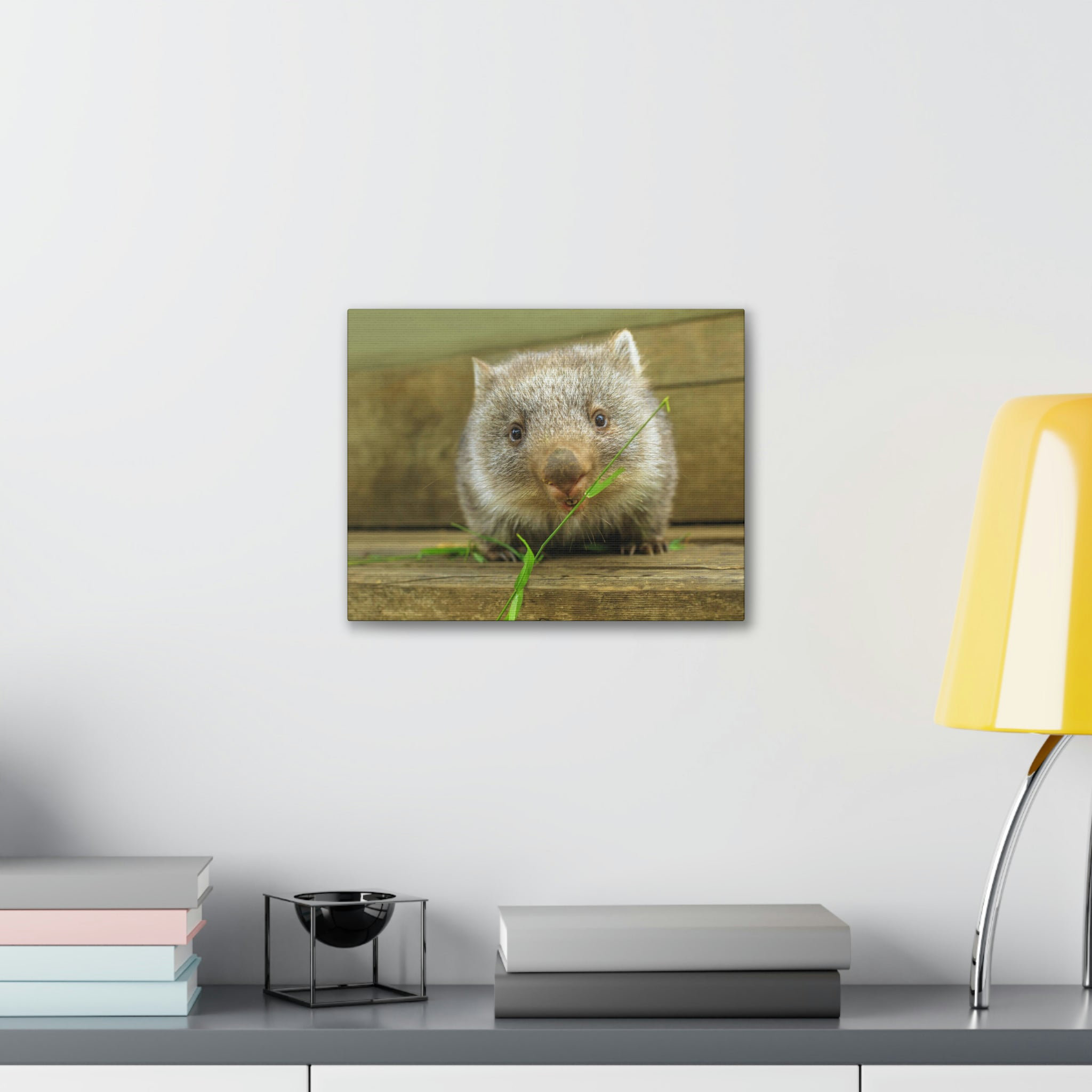 Ebern Designs Funny Wombat Silly Wombat Scene Outdoor Wall Art | Wayfair