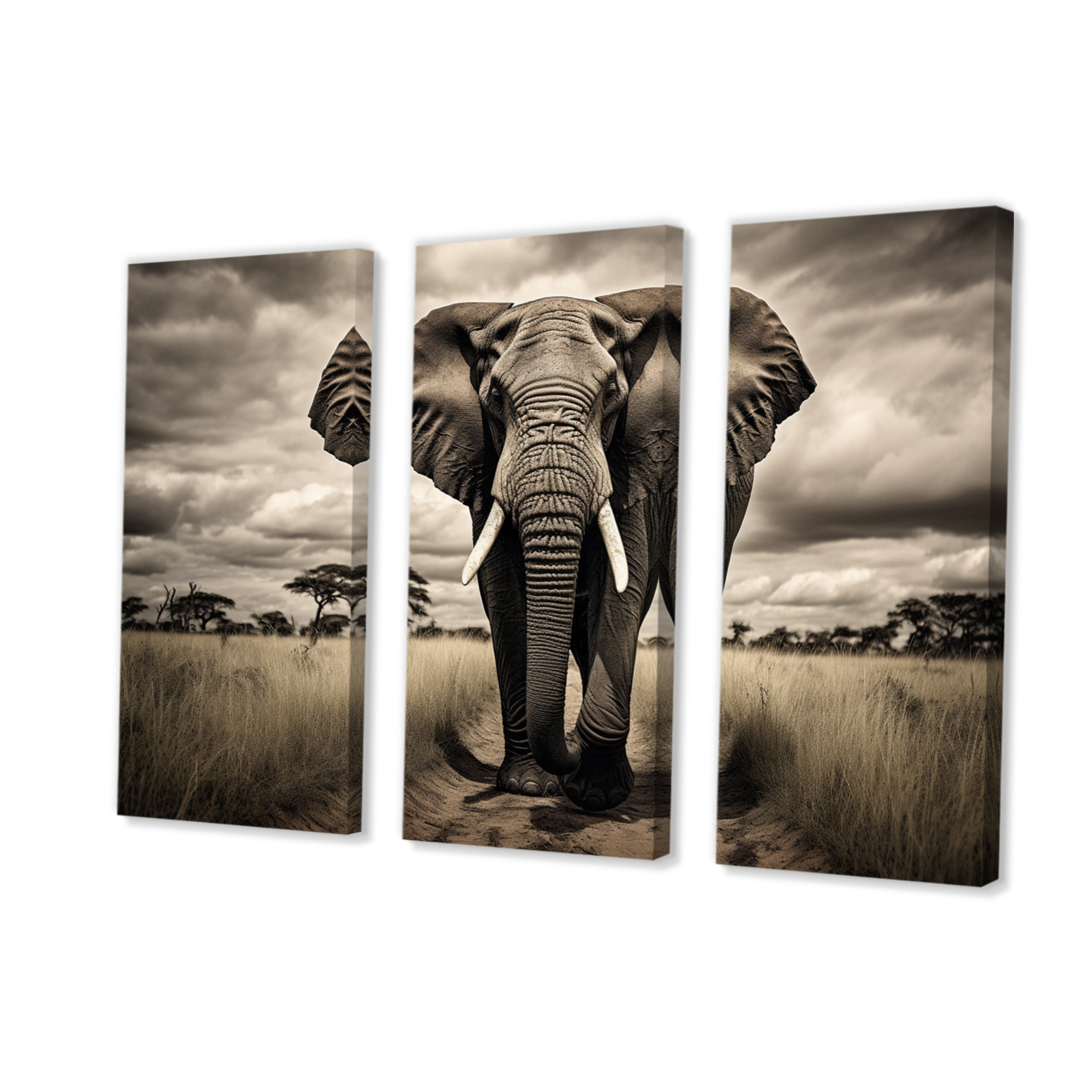 Latitude Run® Africa Elephants Grace - Animals Canvas Prints Set ...