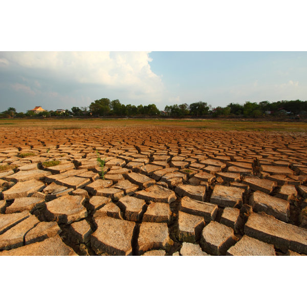 Ebern Designs " Barren " | Wayfair