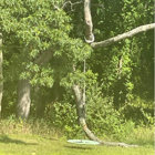 Hey! Play! Metal Green Disc Swing Swing Seat with Chains & Reviews ...