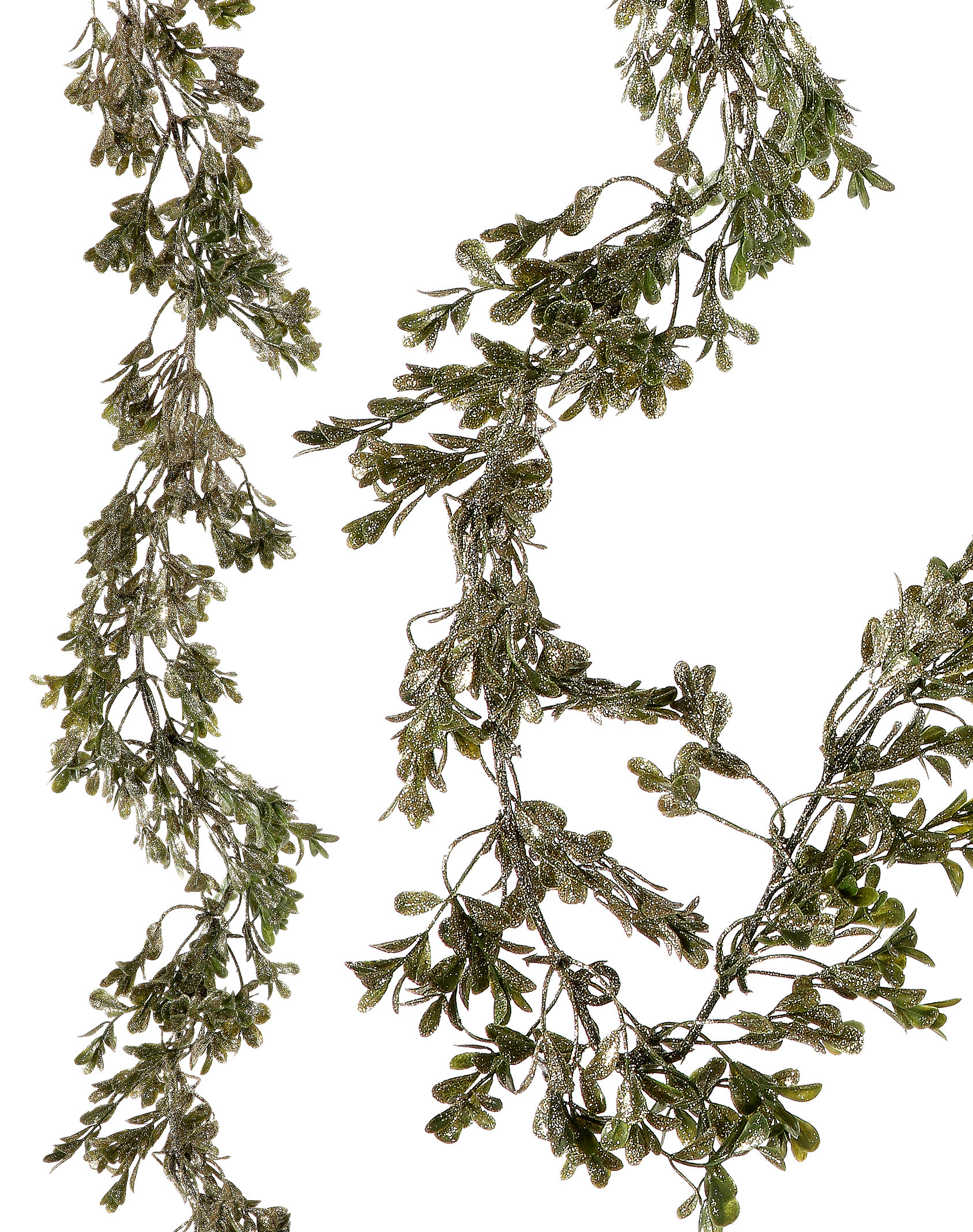 Regency International 6' Garland | Wayfair