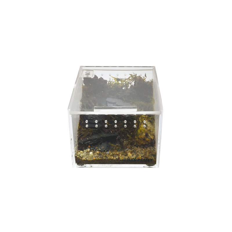HerpCult Acrylic Enclosure- Mini Flat Clear | Wayfair