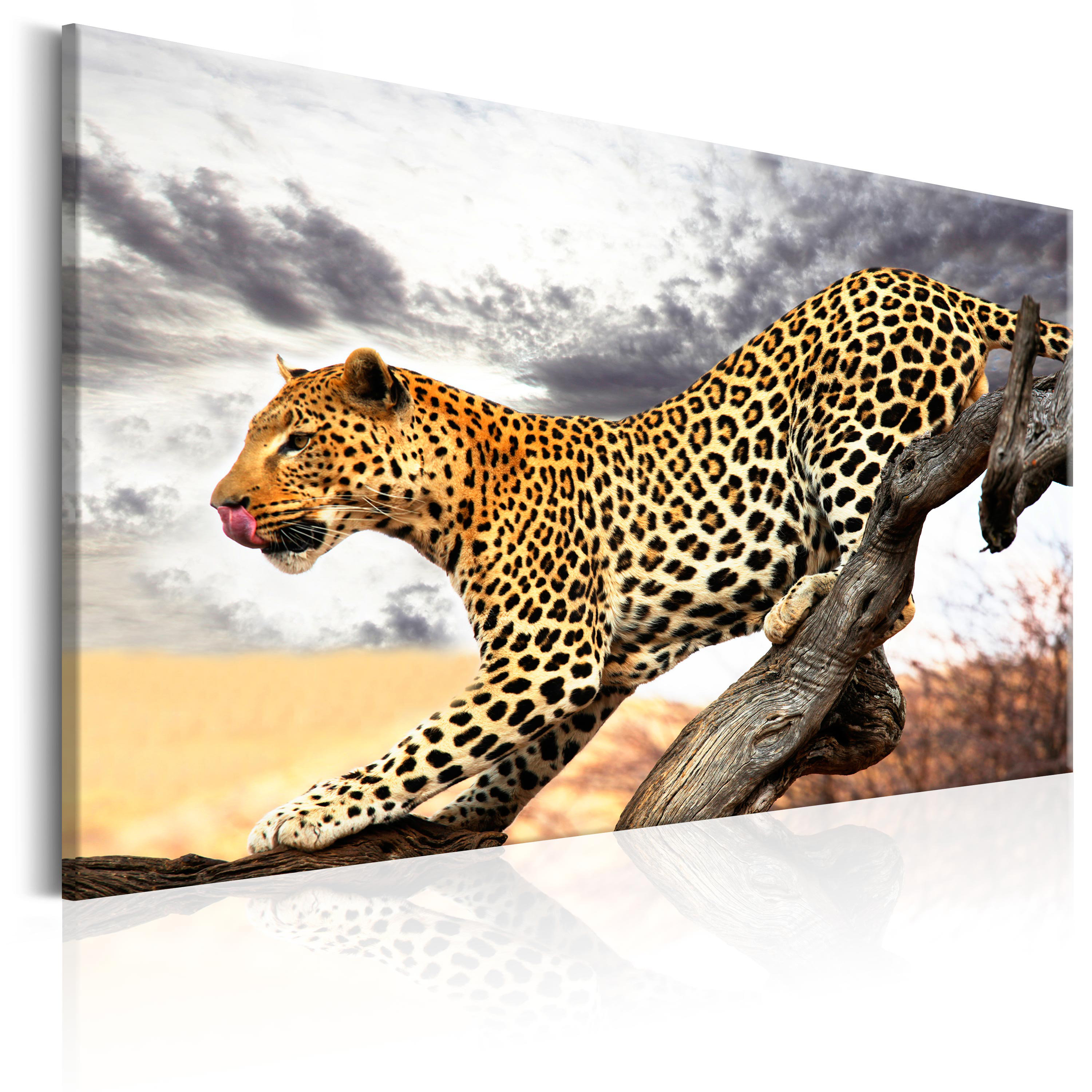 Artgeist Predatory Stare Art Print on Canvas | Wayfair.co.uk