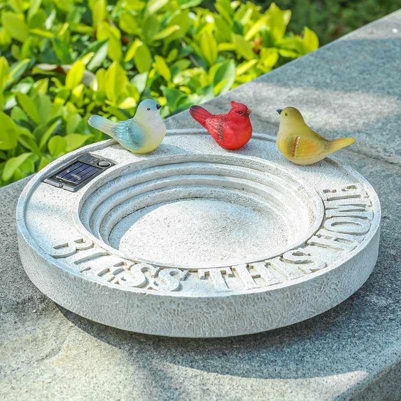Lark Manor™ Bird Baths with Solar Birds Ornament | Wayfair