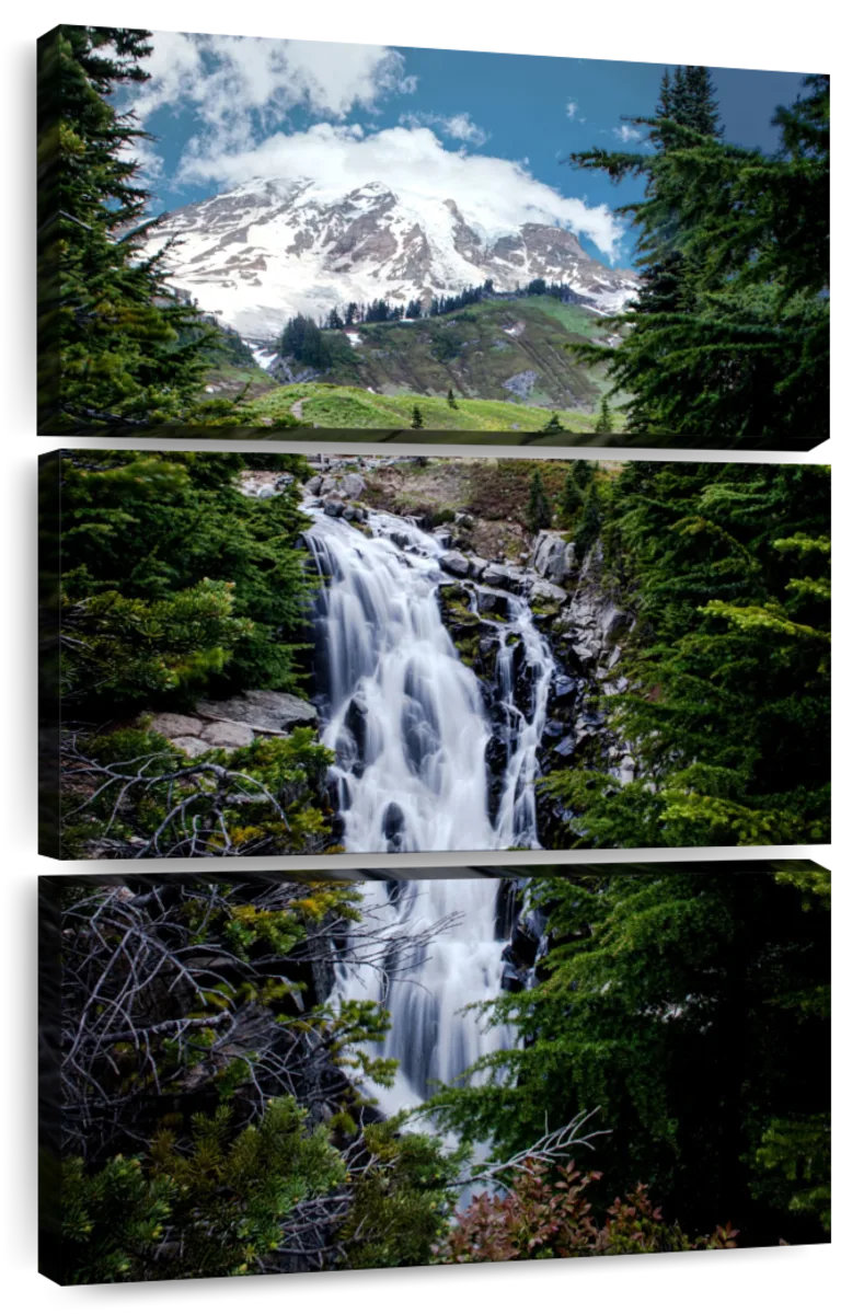 Millwood Pines Alvord Myrtle Falls In The Forest | Wayfair