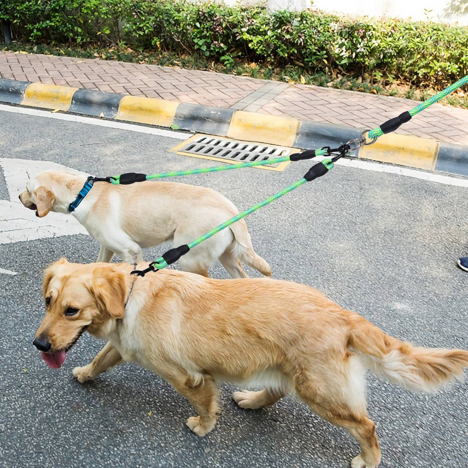 Edge Collections Double Dogs Leash | Wayfair
