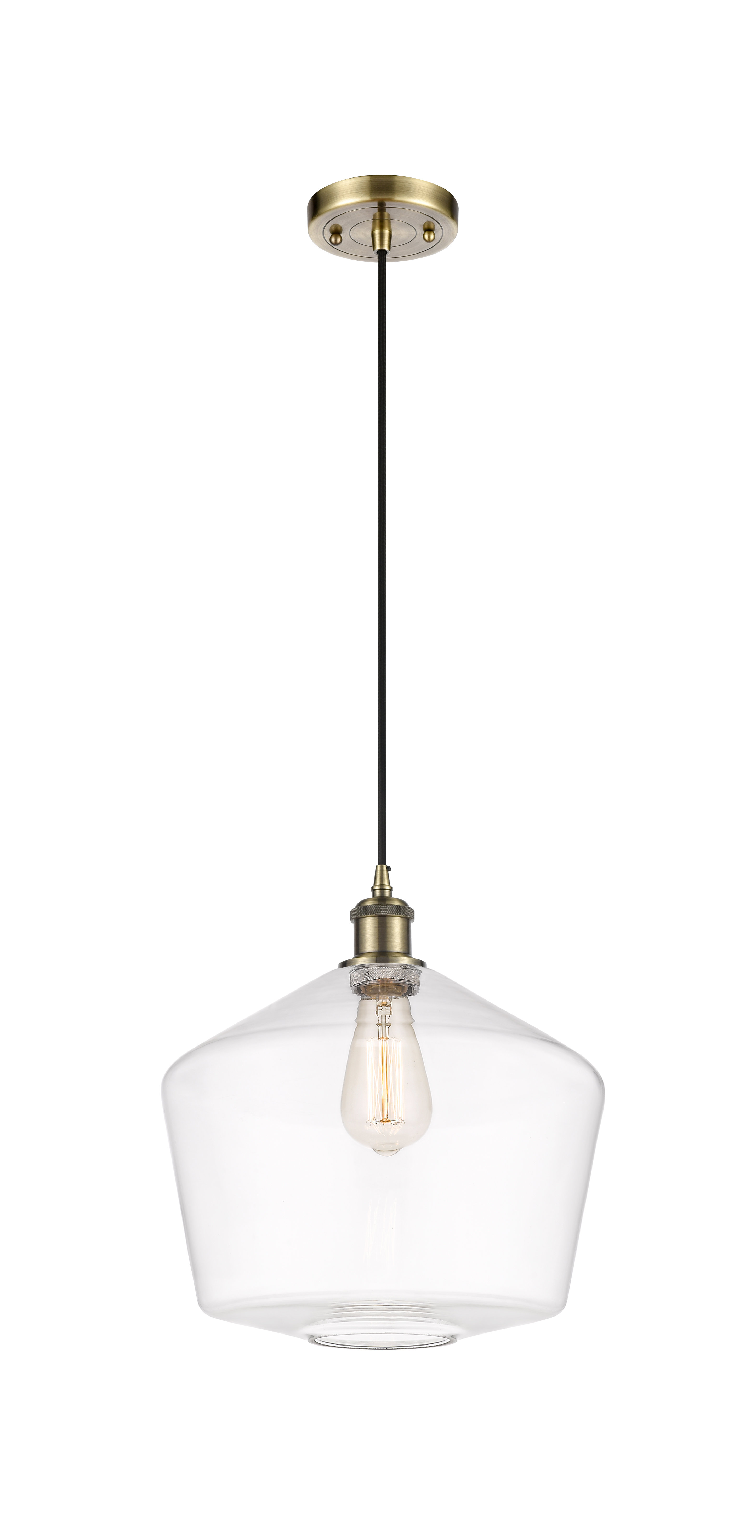 Beachcrest Home™ Gabbie 1 - Light Single Irregular Pendant | Wayfair