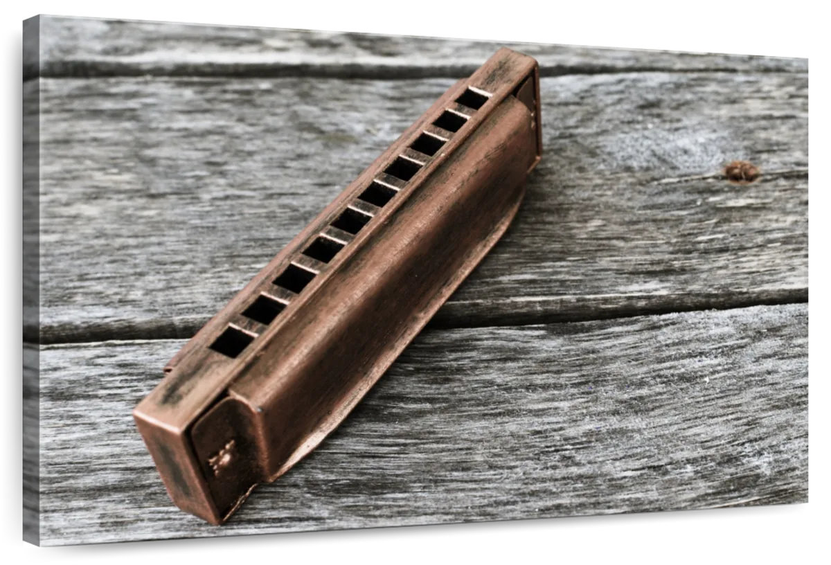Elephant Stock Ten-Hole Harmonica | Wayfair