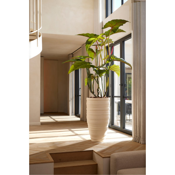Primrue 69" Artificial Elephant Ear Tree in Pot Liner | Wayfair