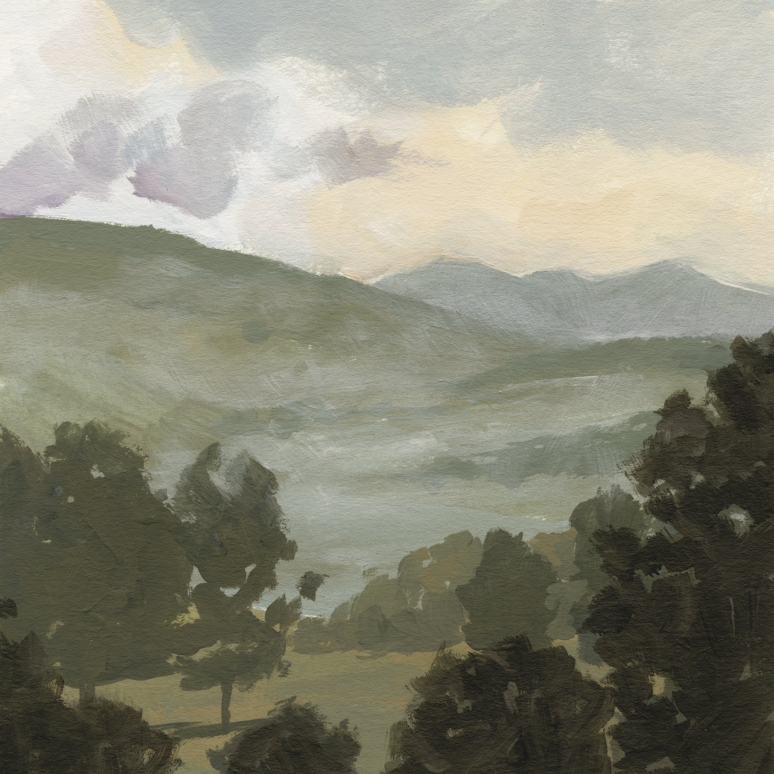 Millwood Pines Aureja Valley Through The Trees I On Canvas by Victoria ...