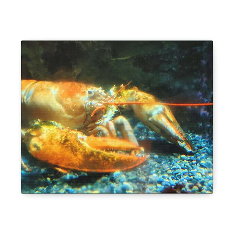 Rosecliff Heights Lobster by Kelly Johnson - Wrapped Canvas Graphic Art ...