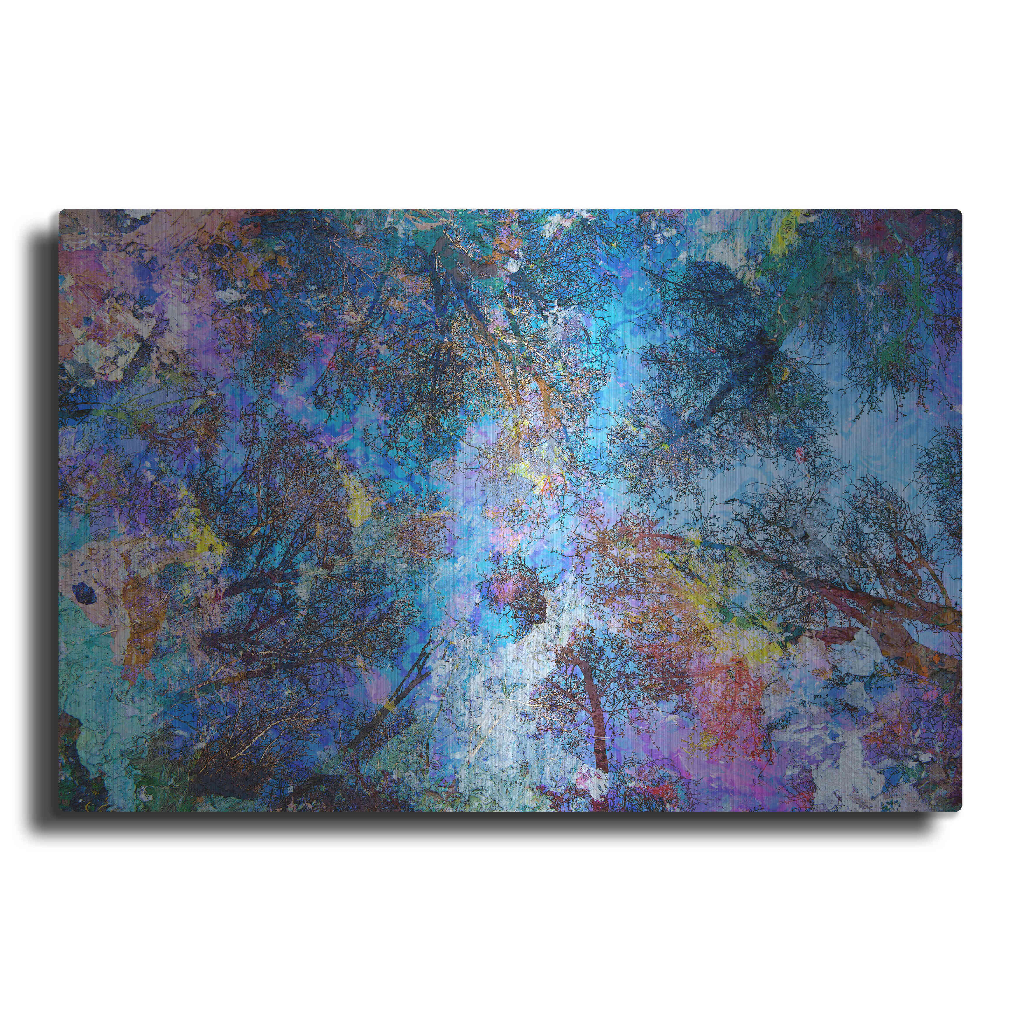 Red Barrel Studio® Dreaming up to the Trees by Michael Broom - Unframed ...