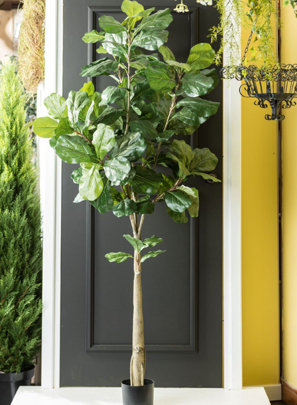 Gracie Oaks Edwad Floor Fiddle Leaf Tree in Pot & Reviews | Wayfair