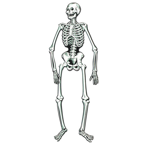 Skeleton | Wayfair