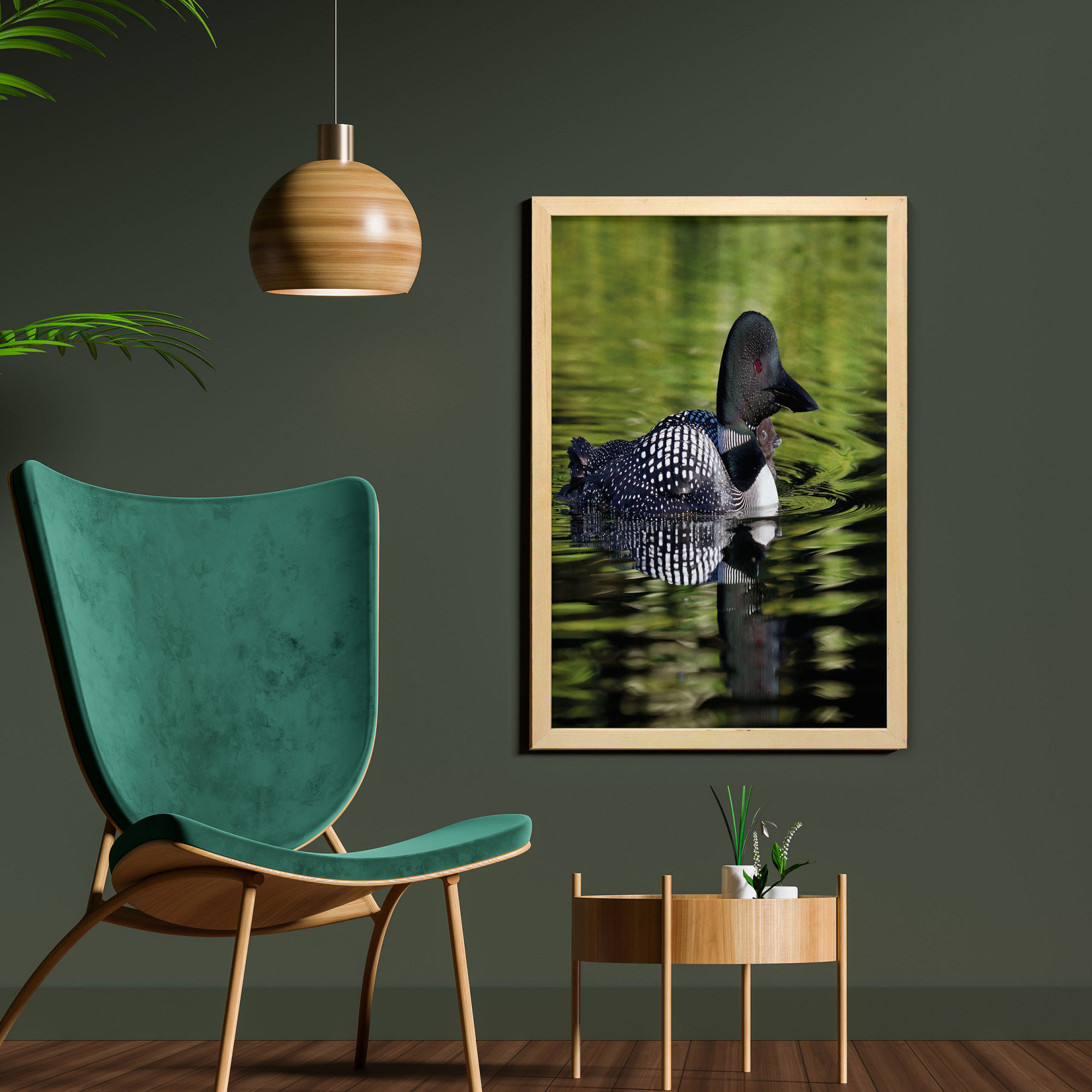 East Urban Home Waterbird Swimming in a Lake in Spring Outdoor Scene ...