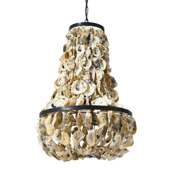 Highland Dunes Paradiso Metal and Draped Oyster Shell Chandelier ...