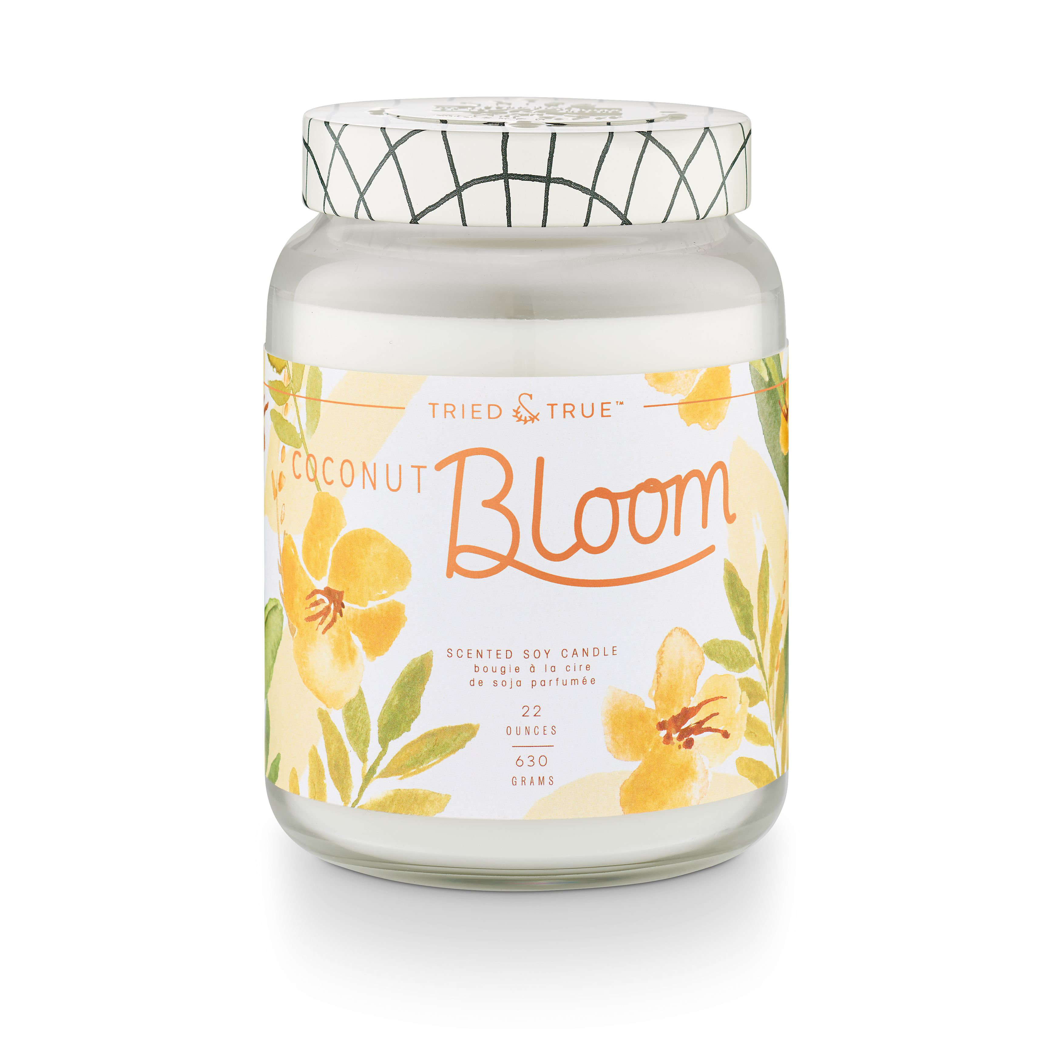 Latitude Run® Coconut Bloom XL Jar | Wayfair