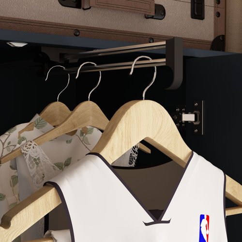 Latitude Run® Raybin Bedroom Armoire & Reviews | Wayfair