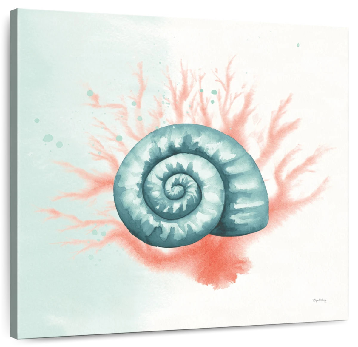 Breakwater Bay Aletra Shell Splash | Wayfair