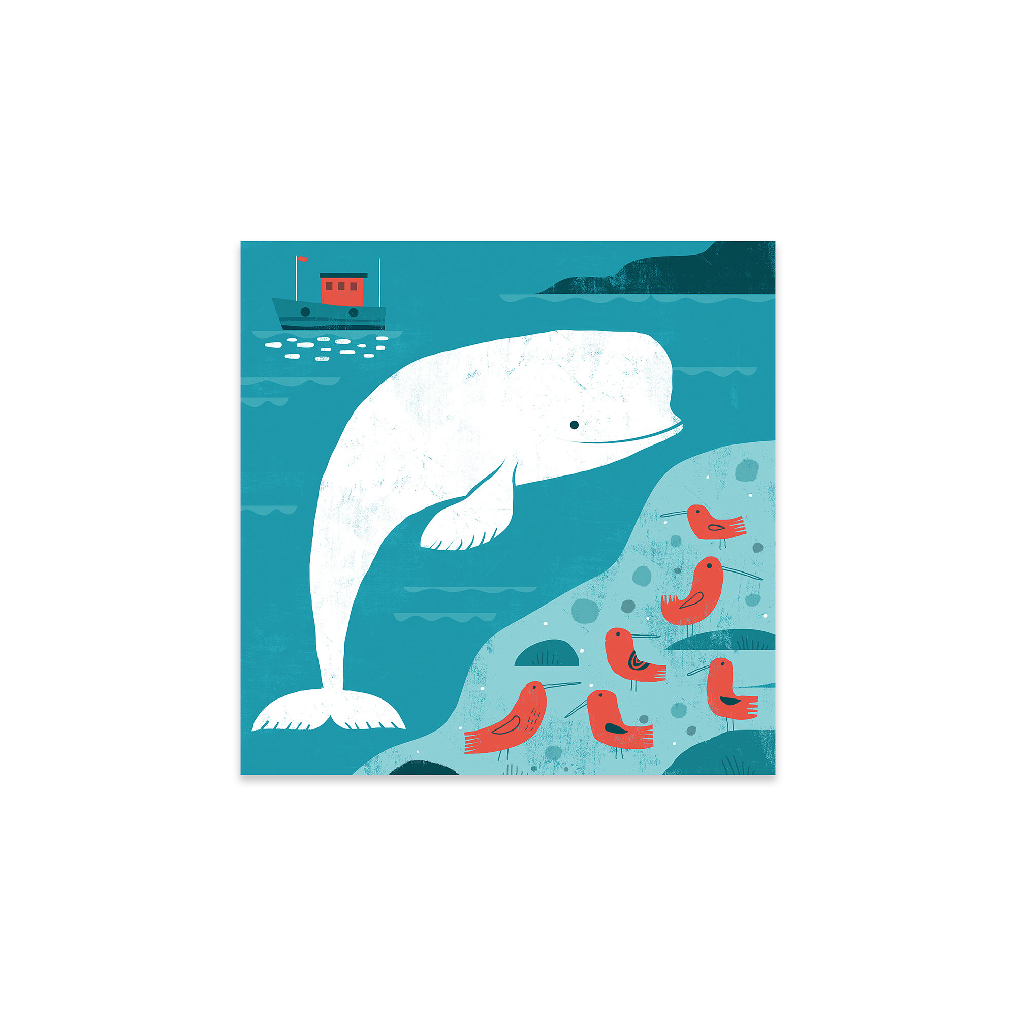 Sunside Sails Benny The Baluga On Plastic / Acrylic by Gareth Lucas ...